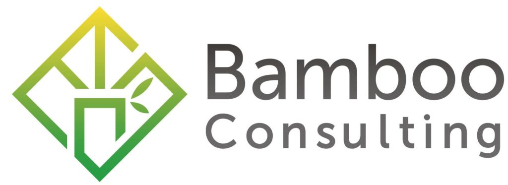 Bamboo Consulting – Let's Go Beyond